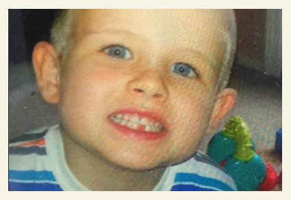 2013 Dog Bite Fatality: Child Temporarily Staying with Aunt Killed by ...
