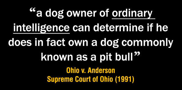 Who Can Identify a Pit Bull? A Dog Owner of 'Ordinary Intelligence' Say ...