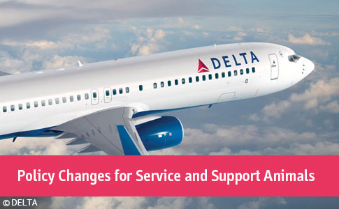Delta's Policy Response After a Passenger was Severely Attacked by an ...