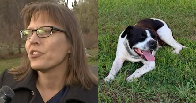 Heather Anglin's Instagram, Twitter & Facebook on IDCrawl