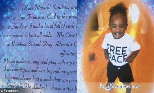 2020 Dog Bite Fatality: Unreported Fatal Pit Bull Mauling of 2-Year Old ...