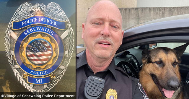Sebewaing Police Chief Takes Pit Bull 'Lucifer' into Custody; Issues ...