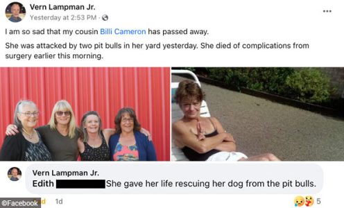 DogsBite Blog - Some dogs don't let go