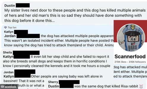 2024 Dog Bite Fatality: 4-Day Old Newborn Dead After 'Apparent Dog Bite' from Husky in Greene ...