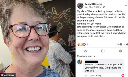 DogsBite Blog - Some dogs don't let go