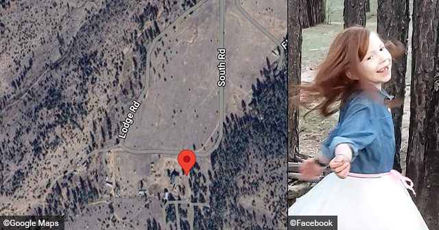 2024 Dog Bite Fatality: Family Guardian Breed Dogs Kill 9-Year Old Girl in Overgaard, Arizona ...