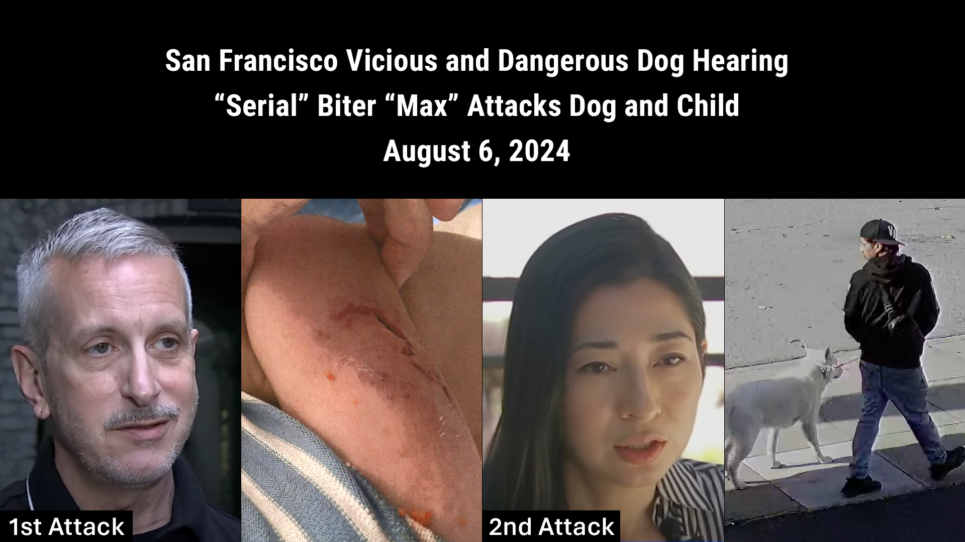 The Vicious and Dangerous Dog Hearing of Max, a High Prey Drive Husky ...